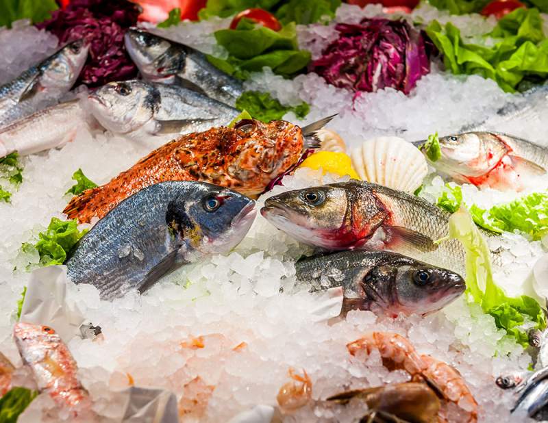 Poissonnerie artisanale | Fruits de Mer | Traiteur | Lille Métropole